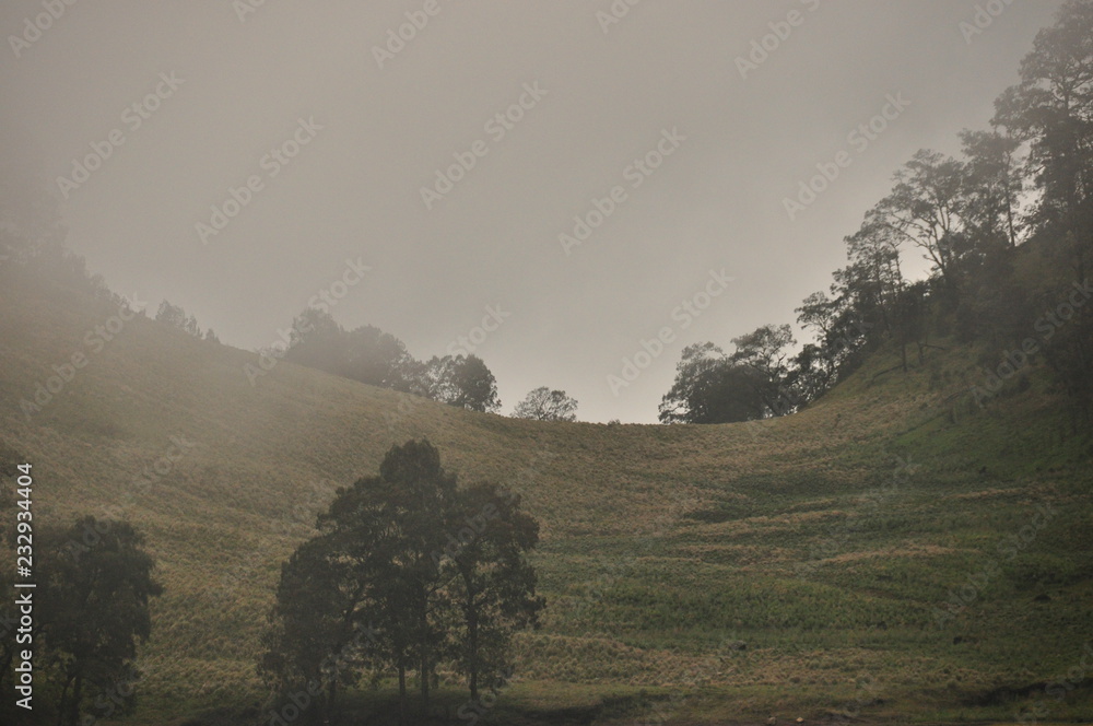 Climbing the volcano Semeru, Indonesia. Clouds obscured the crater and ...