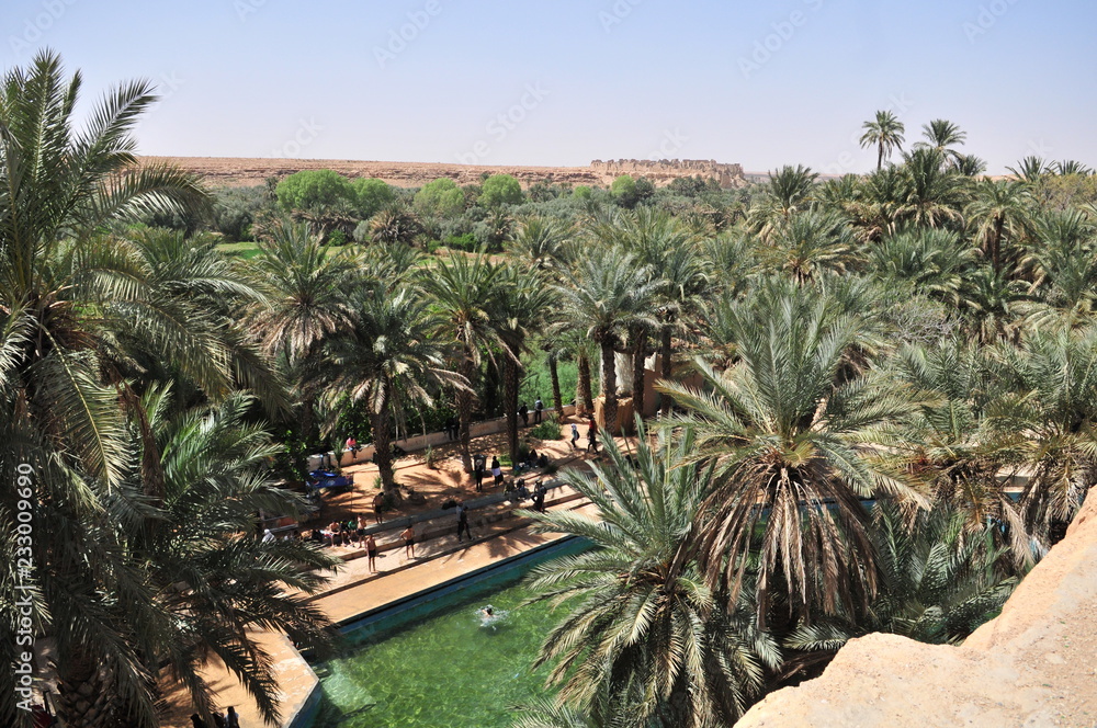 Holy blue well of Meski, Errachidia, Morocco Stock Photo | Adobe Stock