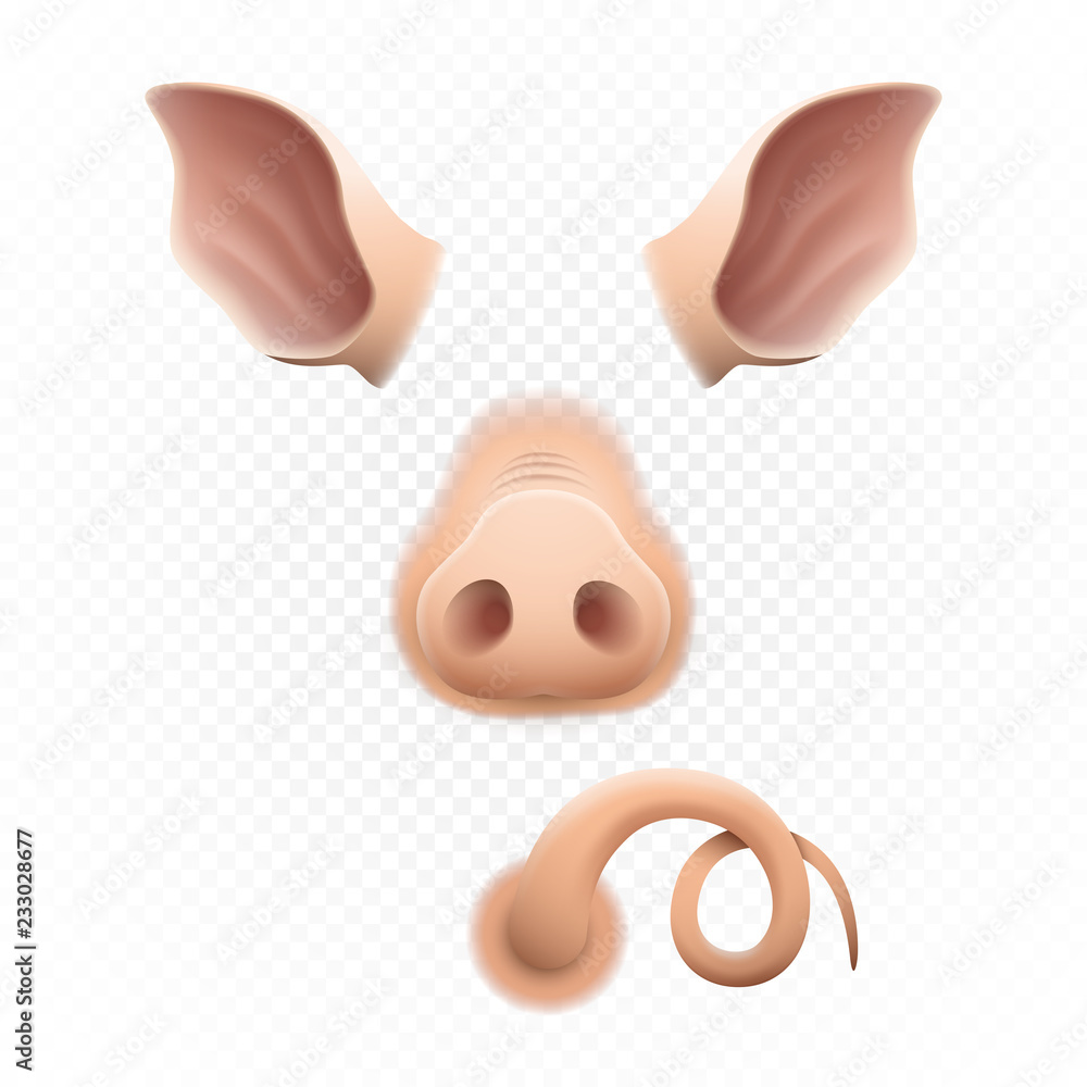 Cute pig ears, tail, and nose or piglet 2019 chinese new year symbol ...