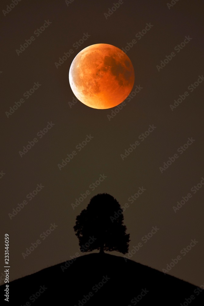 Bloodmoon, total lunar eclipse, double exposure with tree on moraine ...