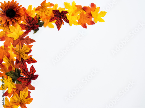 Autumn themed border with colorful leaves, flowers and decorations on a ...