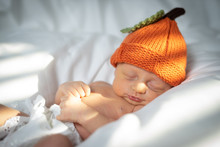 Baby Feet With Pumpkins Free Stock Photo - Public Domain Pictures