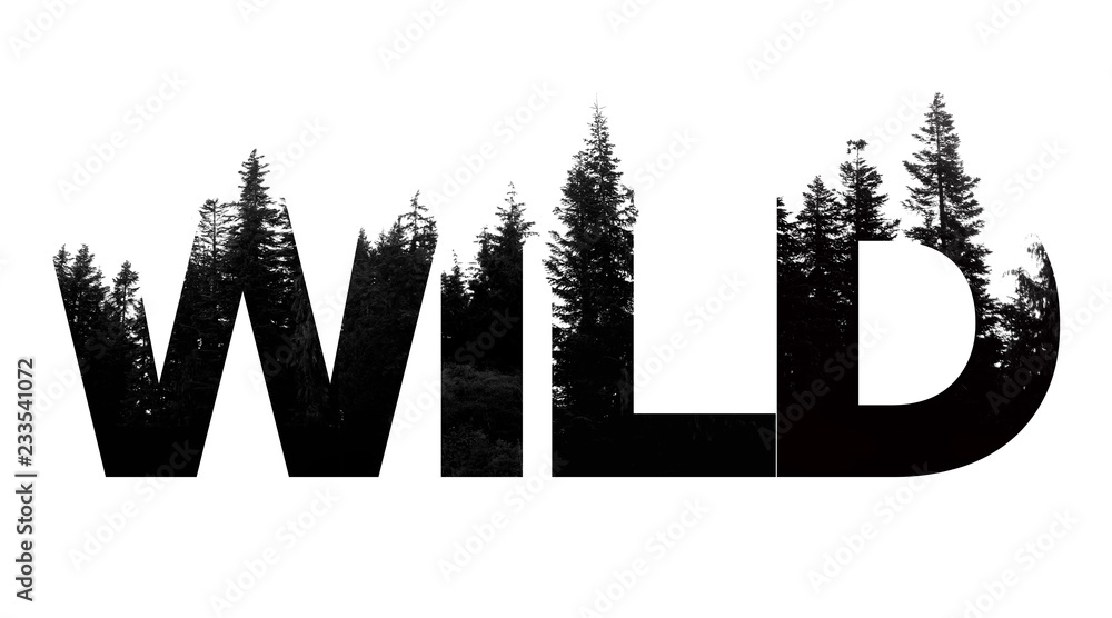 Wild word made from outdoor wilderness treetop lettering Stock ...