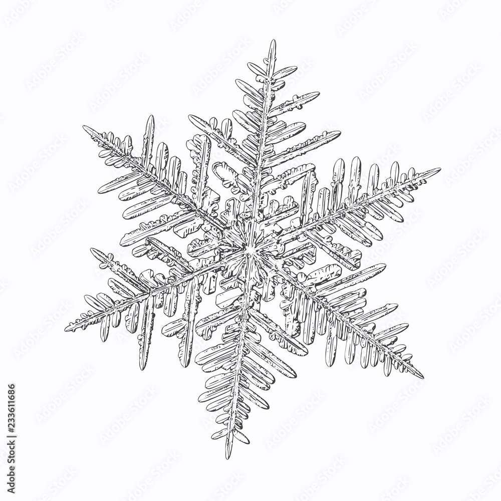 Snowflake isolated on white background. Vector illustration based on ...
