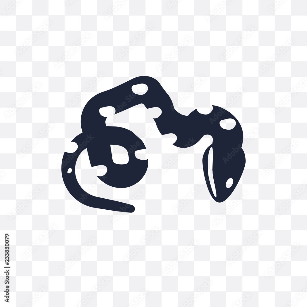 coral snake transparent icon. coral snake symbol design from Animals ...