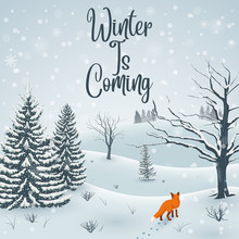 Fox Winter Poster Free Stock Photo - Public Domain Pictures
