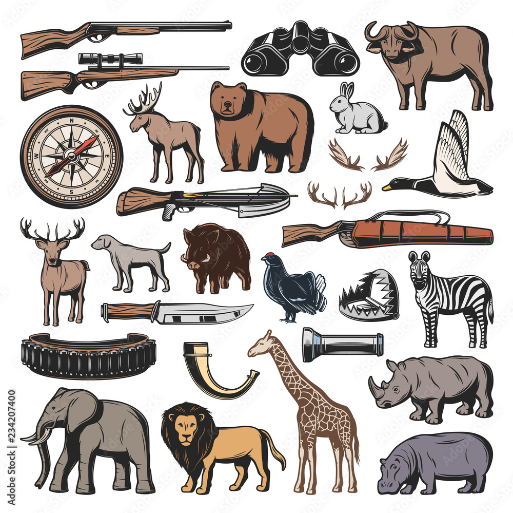 Weapon of hunting sport, wild animals Stock Vector | Adobe Stock