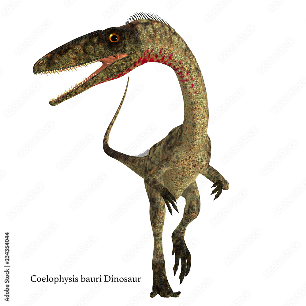 Coelophysis Dinosaur Front with Font - Coelophysis was a carnivorous ...