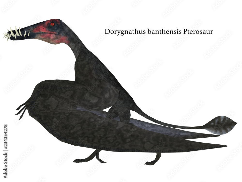 Ilustración de Stock Dorygnathus Pterosaur Side Profile with Font ...