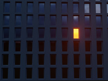 Contrast Light From A Window Free Stock Photo - Public Domain Pictures