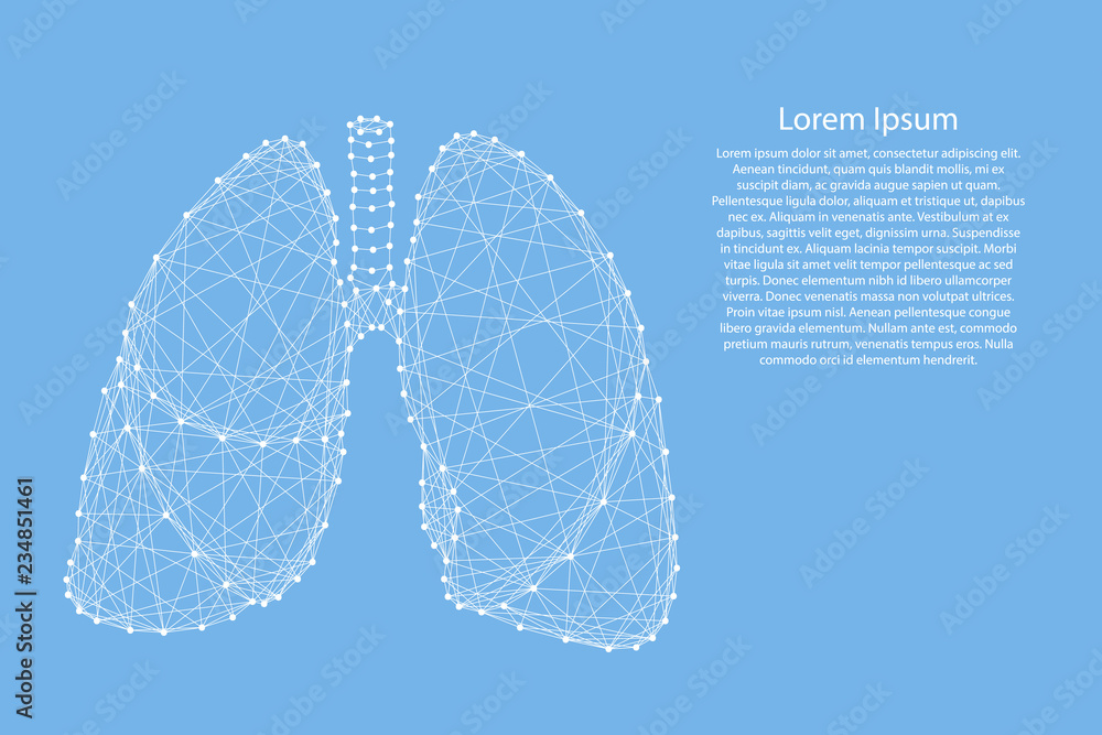 Lungs human organ of respiration from abstract futuristic polygonal ...