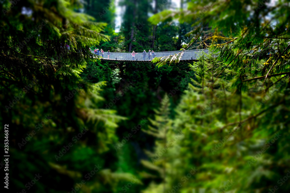 Tilt Shift Miniature Image of the Capilano Suspension Bridge through ...