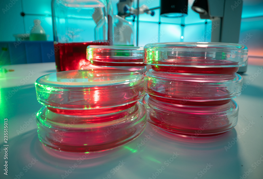 Petri dishes and microscope in medical lab case study of plastic ...