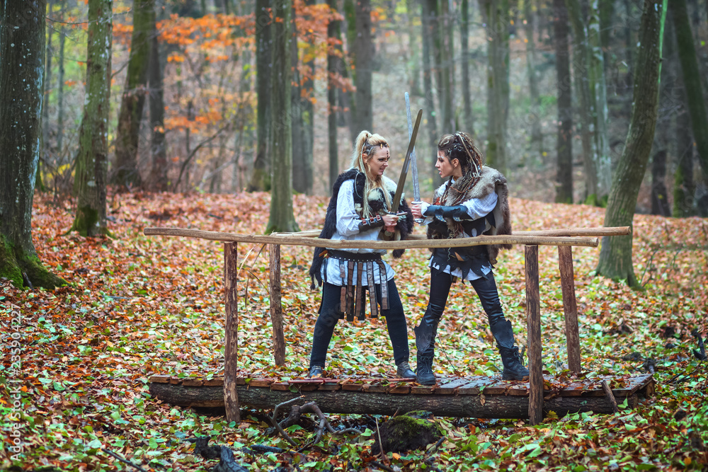 2 (two) dangerous scandinavian viking women warriors fighting with ...