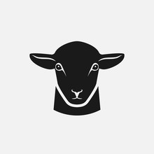 Head Of Sheep Free Stock Photo - Public Domain Pictures