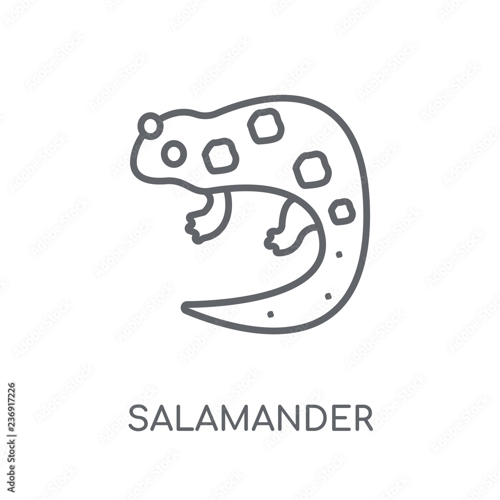 salamander linear icon. Modern outline salamander logo concept on white ...