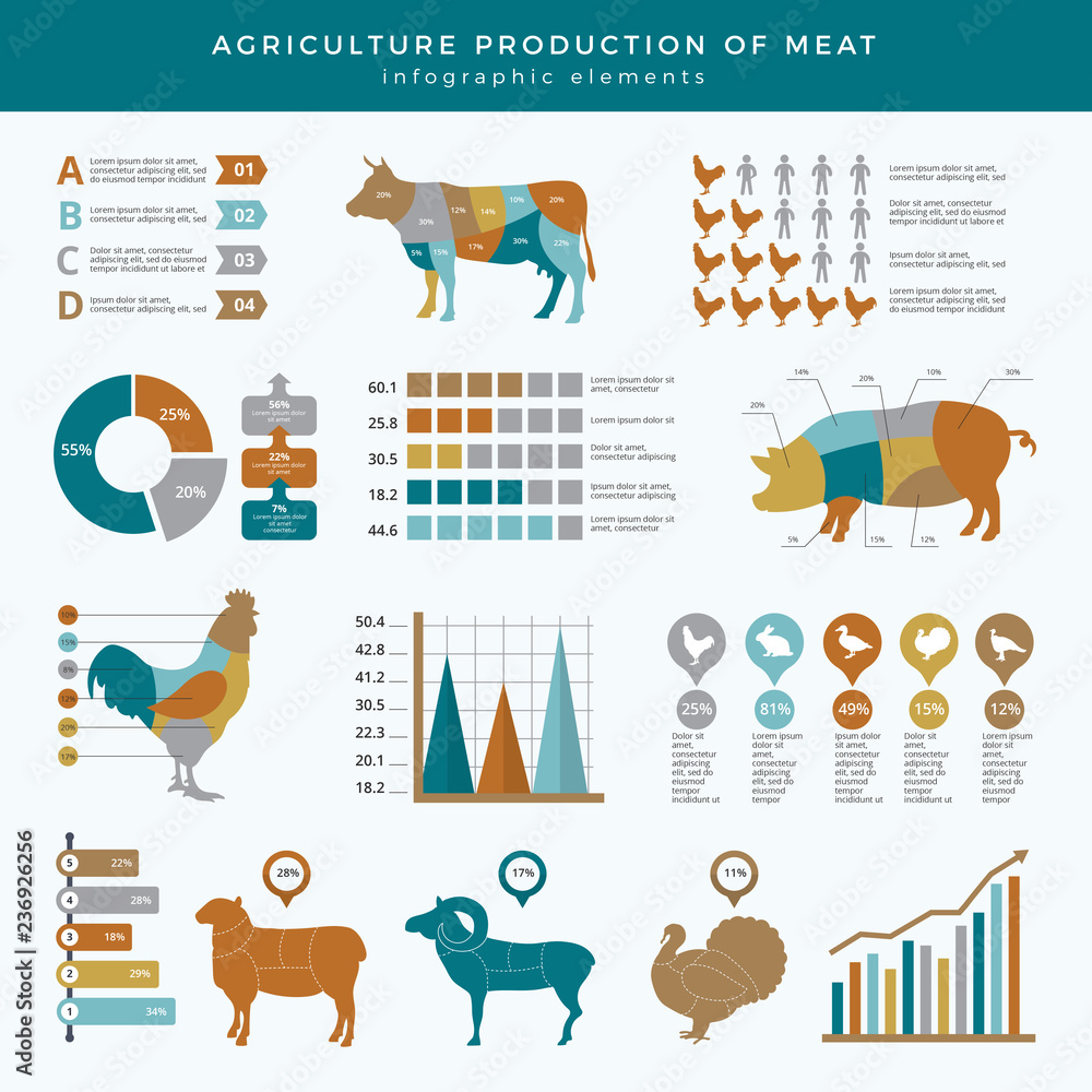 Agriculture farming infographic. Food animals farm technology nutrition ...