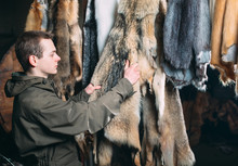 Caffenol Process Wolf Free Stock Photo - Public Domain Pictures