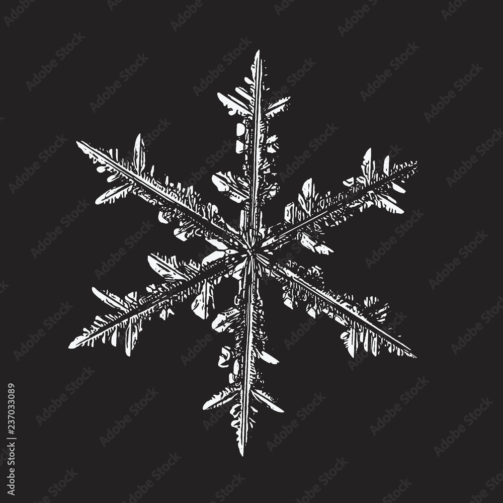 Snowflake on black background. Vector illustration based on macro photo ...