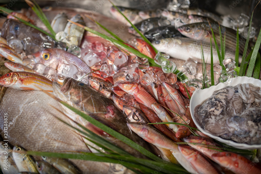 Lobster, octopus, red mullet, boops boops, sea bass, sea bream, white ...