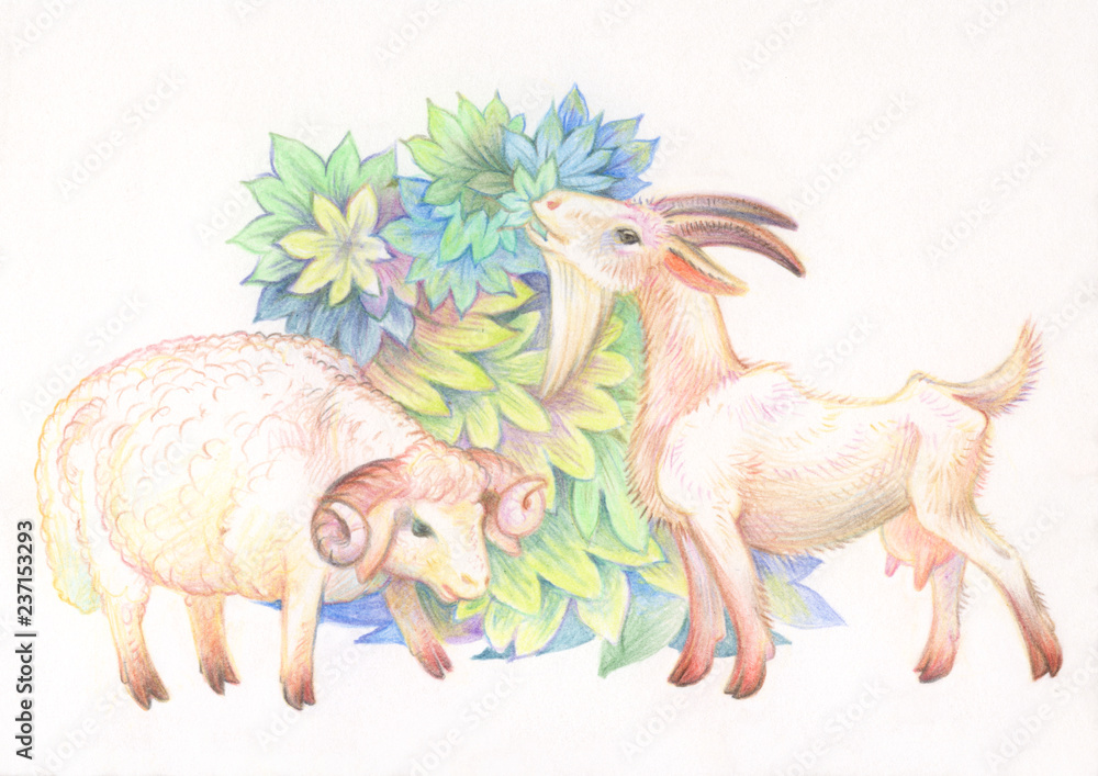 Pencil drawing. Illustration for children. Image of animals with ...