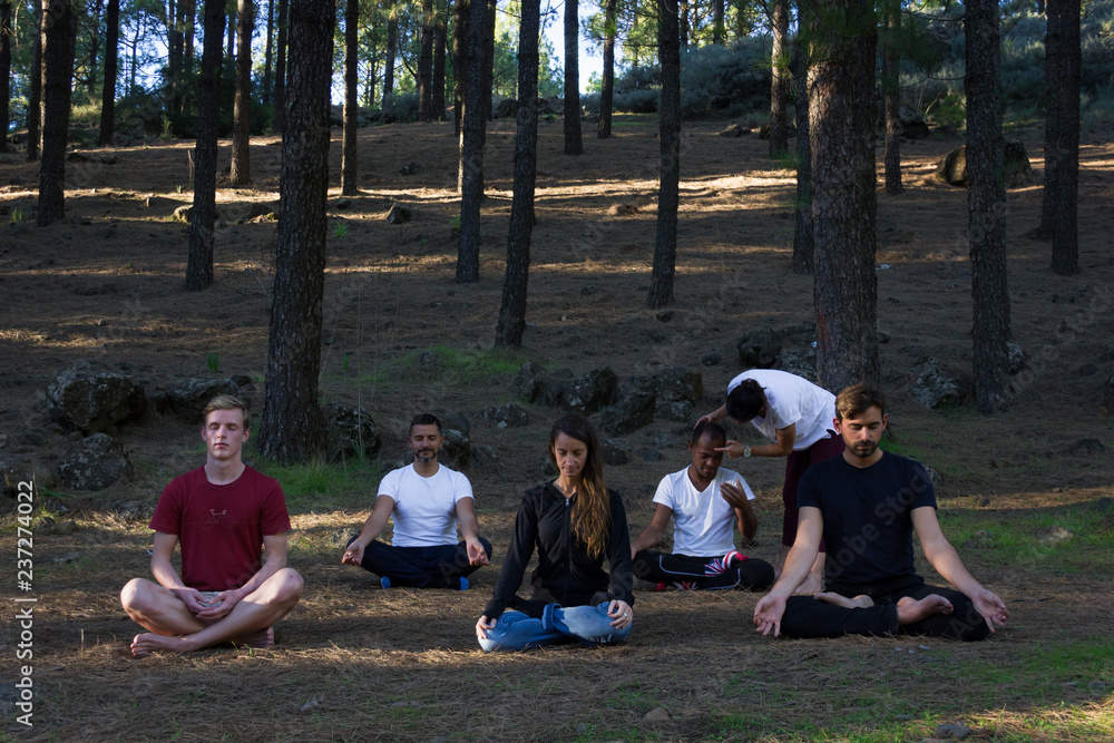 Foto de Stock Students in yoga meditation class following teacher ...
