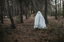 Ghost In The Forest Free Stock Photo - Public Domain Pictures