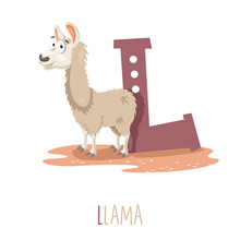 Letter L, Llama Alphabet Free Stock Photo - Public Domain Pictures