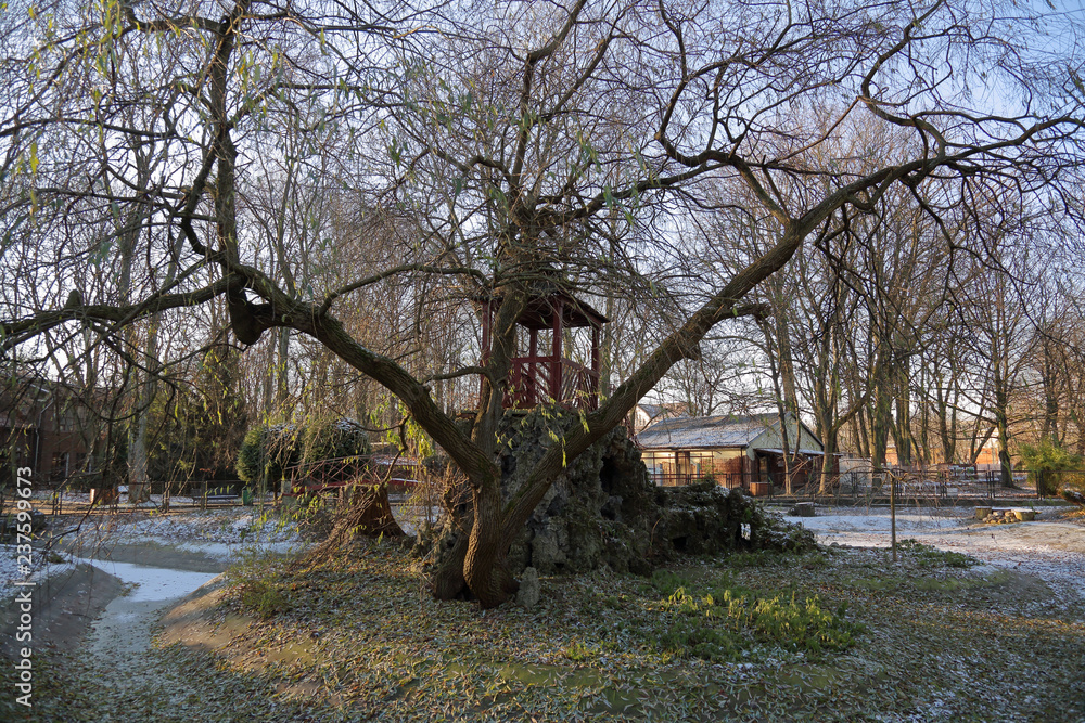 On the territory of the Kaliningrad city zoo. One of the largest and ...