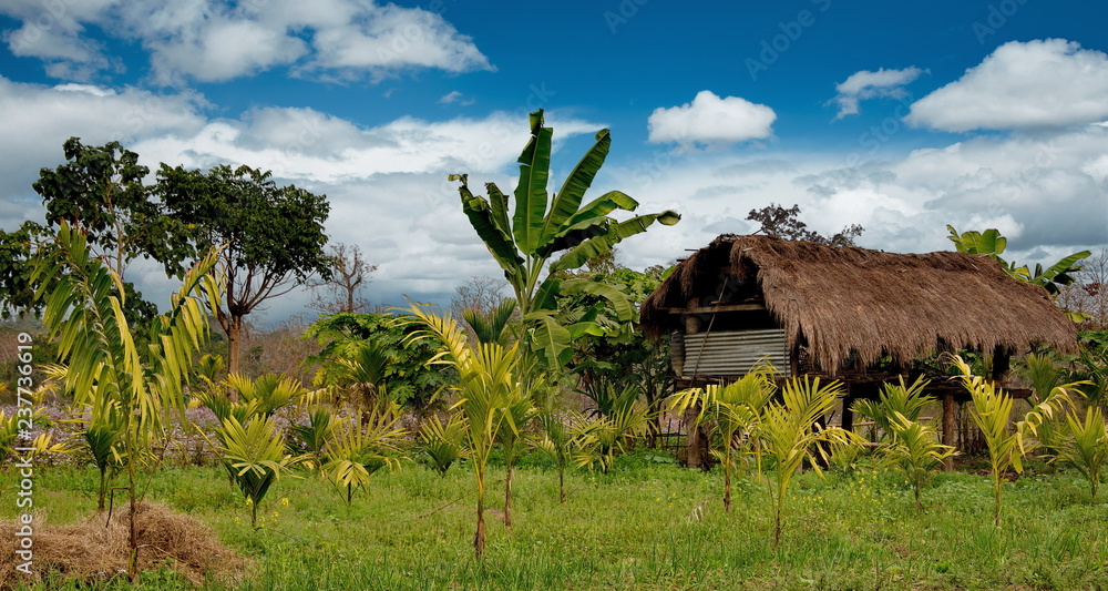 The Eastern India. The State Of Assam. Winter in the villages of the ...