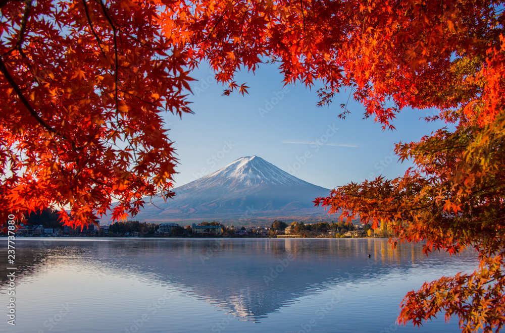 Foto de Stock Mount Fuji, Autumn in Mt. Fuji, Japan - Lake Kawaguchiko , Colorful Autumn Season ...