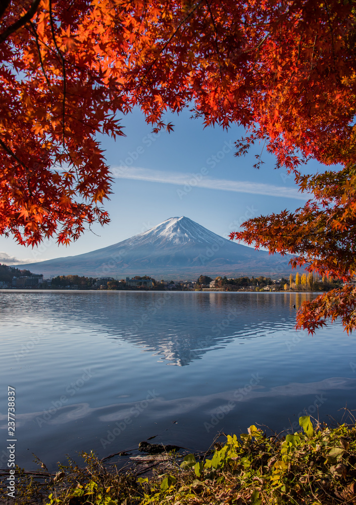 Foto de Stock Mount Fuji, Autumn in Mt. Fuji, Japan - Lake Kawaguchiko , Colorful Autumn Season ...