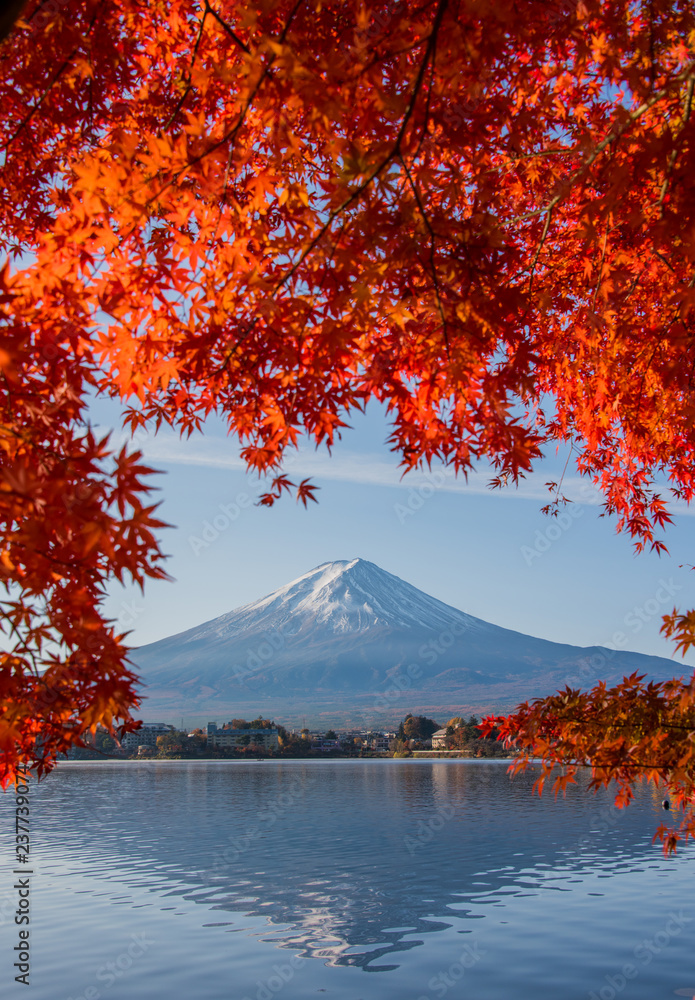 Foto de Stock Mount Fuji, Autumn in Mt. Fuji, Japan - Lake Kawaguchiko ...