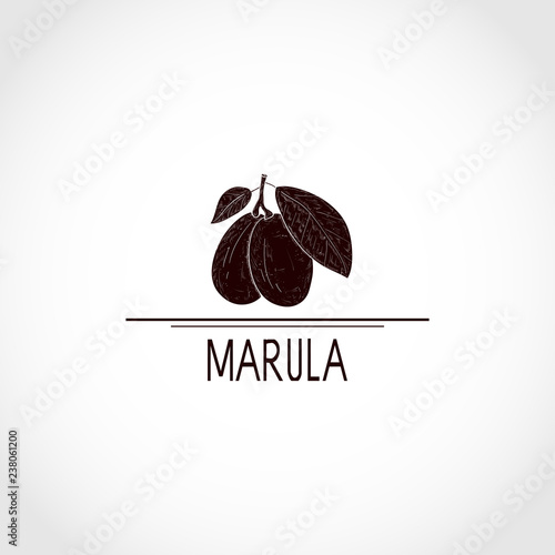 Marula. Fruit. Silhouette. Logo, sign, symbol, emblem. Stock Vector ...