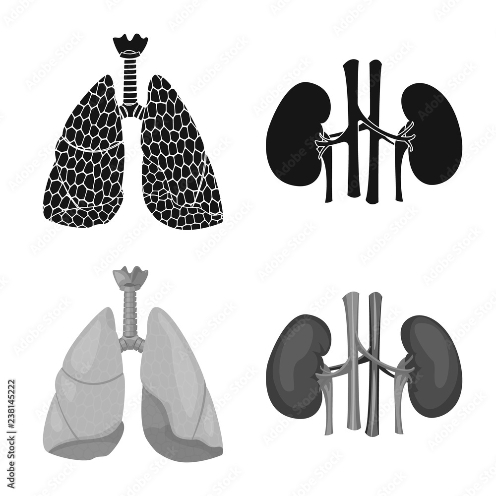 Vector illustration of body and human logo. Set of body and medical ...