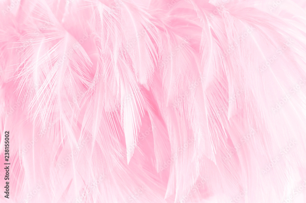 Soft pink feathers texture background. Stock Photo | Adobe Stock