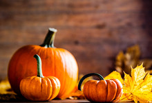 Autumn Pumpkin Free Stock Photo - Public Domain Pictures
