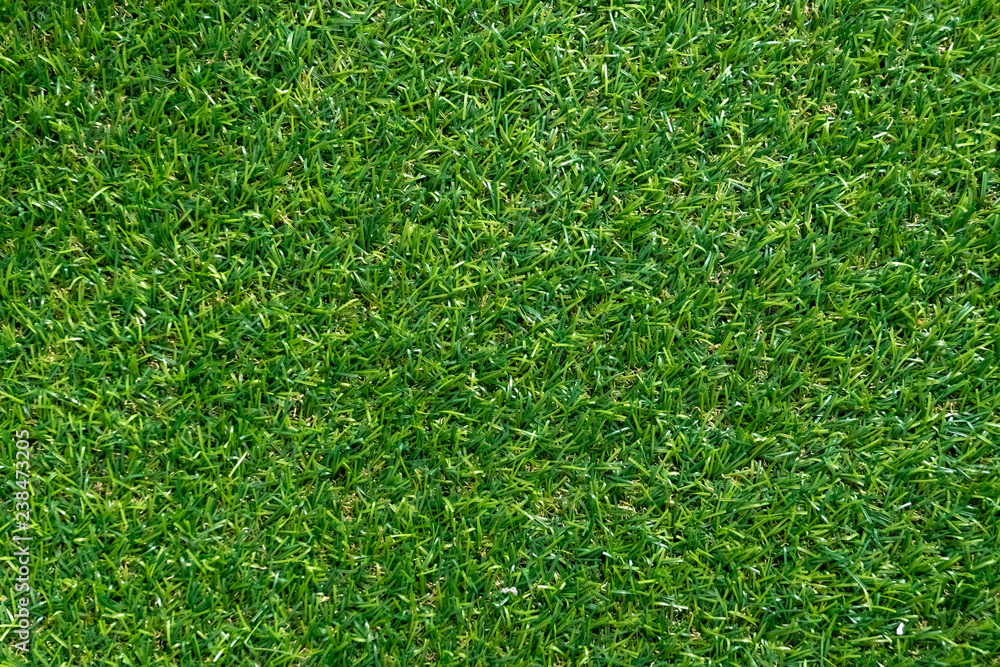 Green grass texture for background. Green lawn pattern and texture. top ...