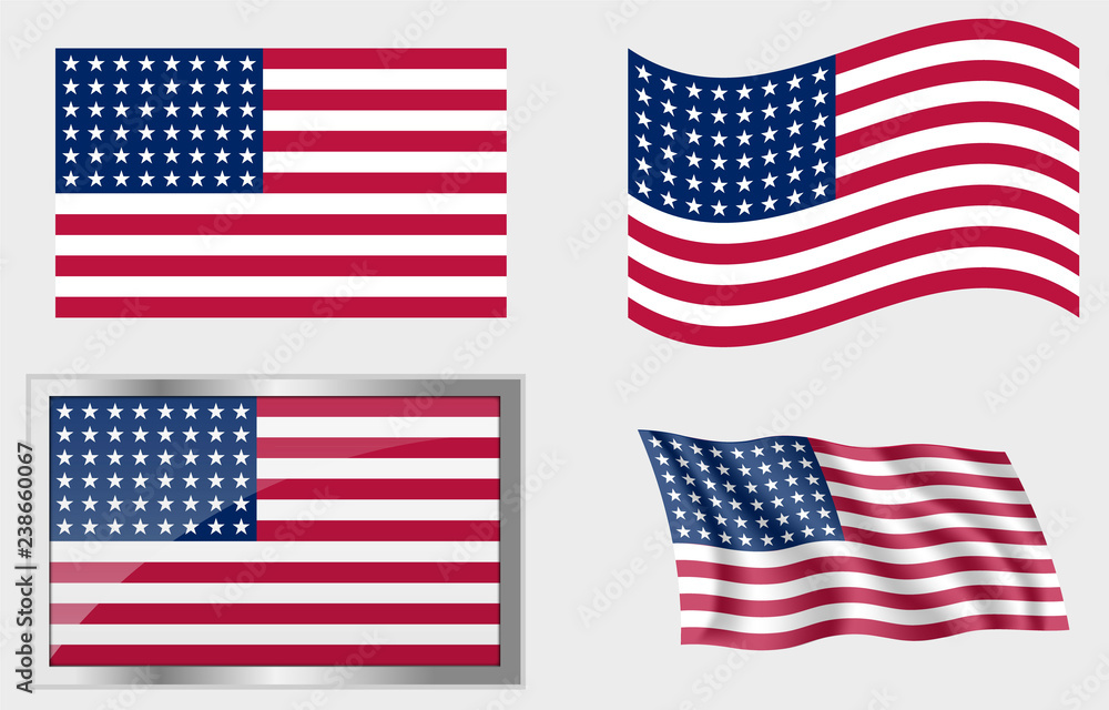 Flag of the US 48 Stars Stock Vector | Adobe Stock