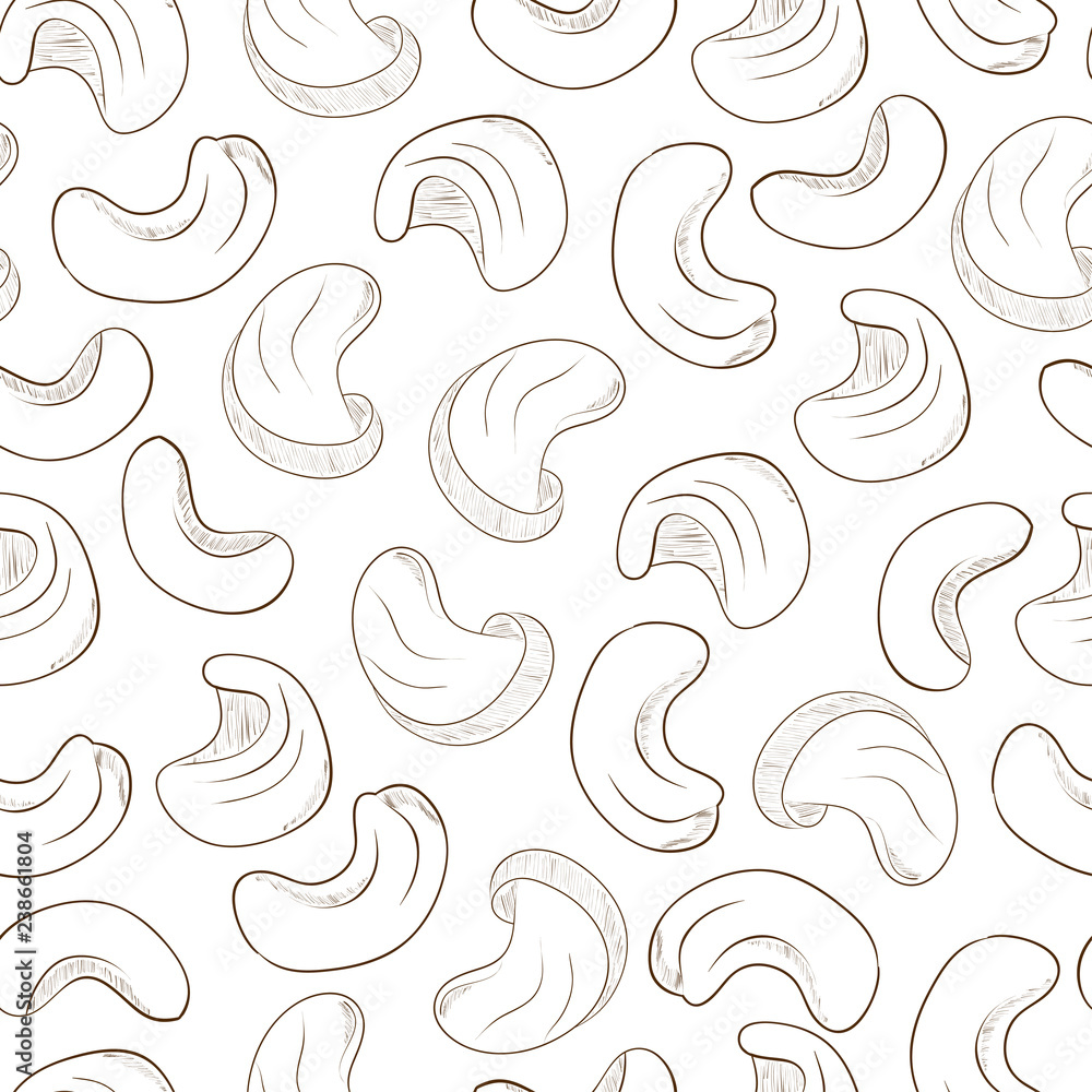 Cashew. Nut. Dried. Black and white image. Sketch. background ...
