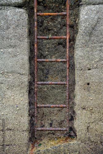 rusty ladder by the dock Stock Photo | Adobe Stock
