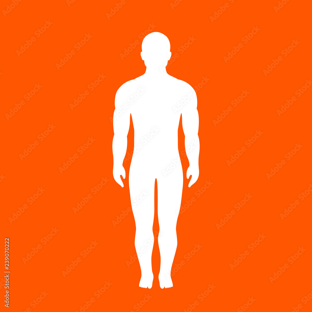 Human body vector silhouette Stock Vector | Adobe Stock