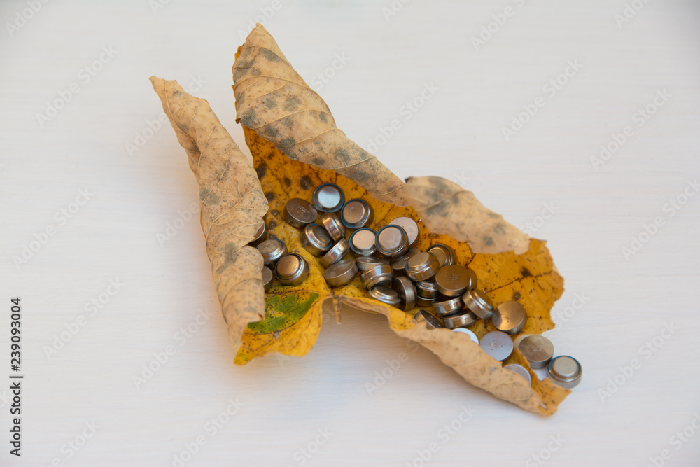 Several button cells in a crumpled dry leaf, as a symbol of the danger ...