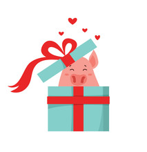 Pig Valentine Free Stock Photo - Public Domain Pictures