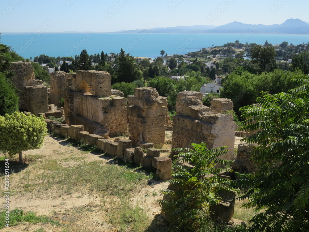 Carthago ruins of capital city of the ancient Carthaginian civilization ...