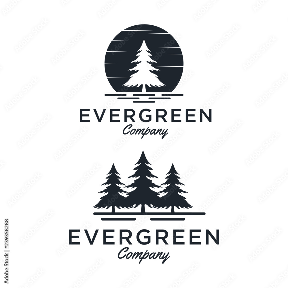 Evergreen / Pine tree Logo design inspiration - Vector Stock Vector ...