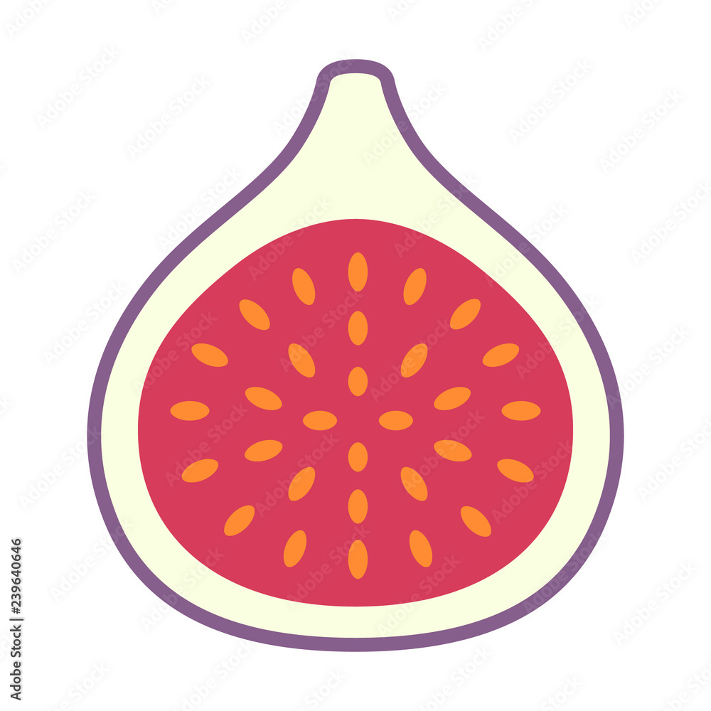 Common fig fruit cross section with seeds flat vector color icon for ...
