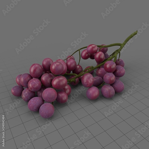 Grapes Stock 3D asset | Adobe Stock