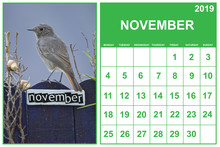 November 2016 Calendar Of Birds Free Stock Photo - Public Domain Pictures