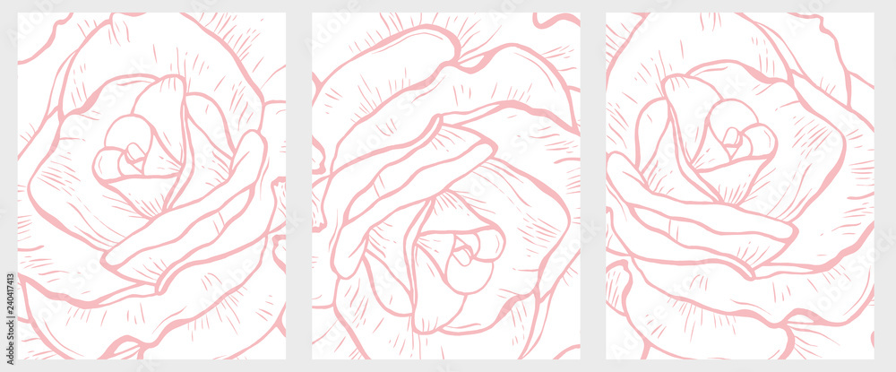 Delicate Hand Drawn Floral Vector Illustrations Set. Big Light Pink ...